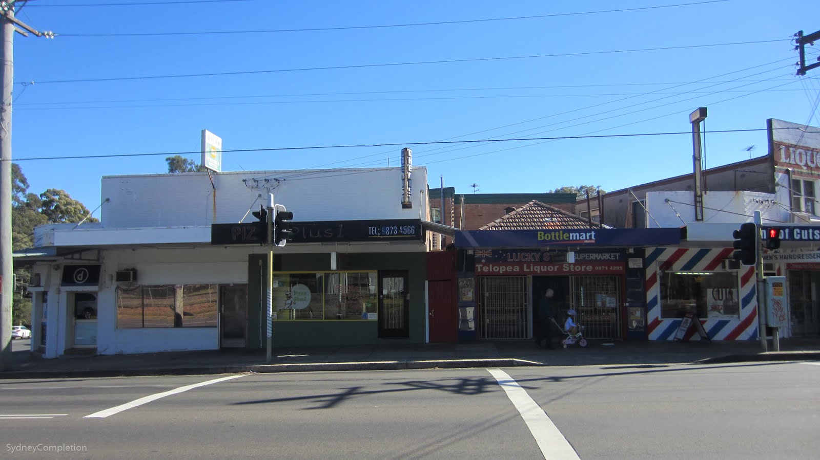 Anniversary Special Stop 6: Telopea - Completing Sydney