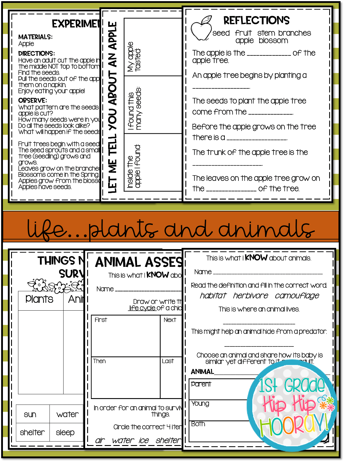 1st Grade Hip Hip Hooray!: NGSS... Life Science...Exploring Plants and ...