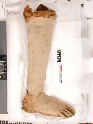 Imagenes de Egipto: lower leg from mummy