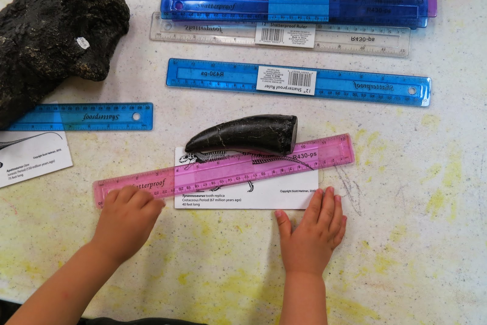 WonderWorks: Measuring Size (Math) : library makers