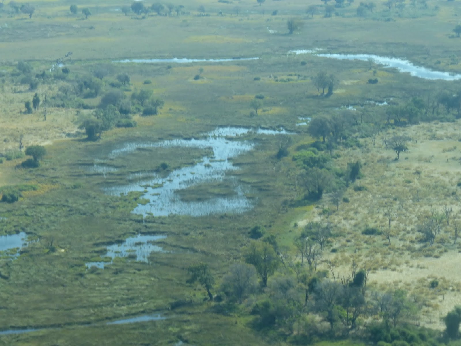 La gran ruta del Okavango 2015: (12) Okavango, el delta que se esfuma ...
