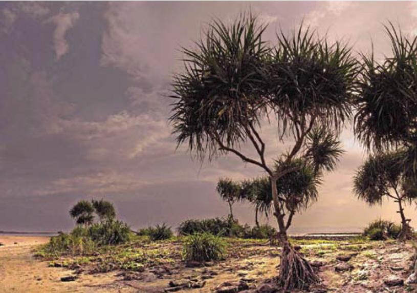 All about bangladesh,history of Bangladesh,places of Bangladesh,beauty ...