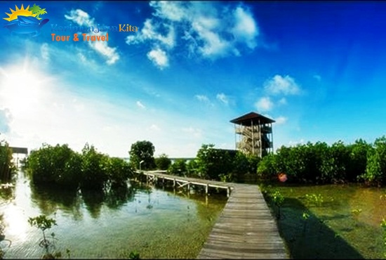 Tracking Mangrove Karimunjawa | Karimunjawa Kita Tour