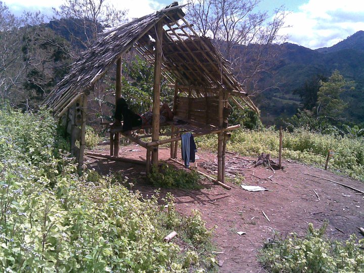 PT.SUM,BAWA JUTA RAYA (PT.SJR) TERBUKTI GAGAL DALAMHAL MENJAWAB ...