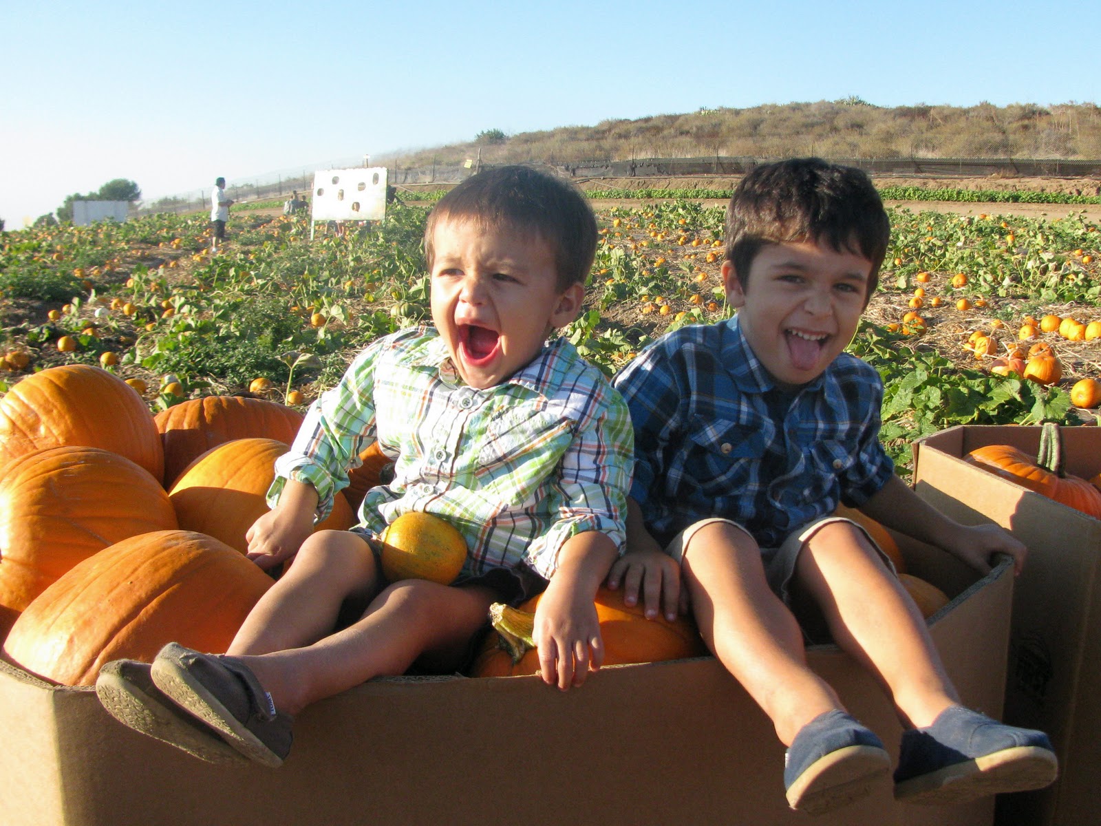 Life in the Jacoby House