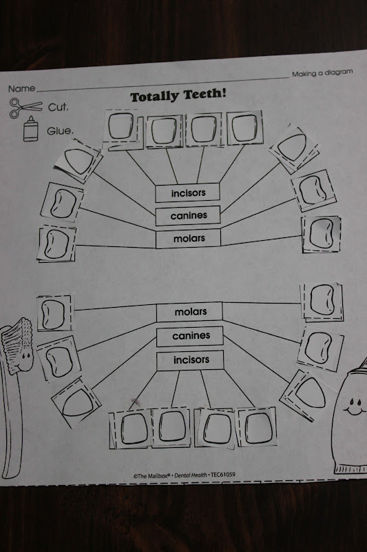 Learning With My Boys: Dental Care Day 2: Types of Teeth