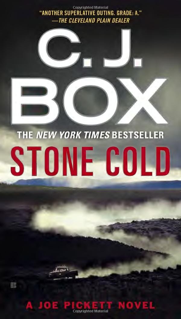 Mystery Playground: Crime & Beyond Book Club Reads Stone Cold