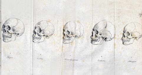 Until Darwin: Science and the Origins of Race: Why this work and this ...