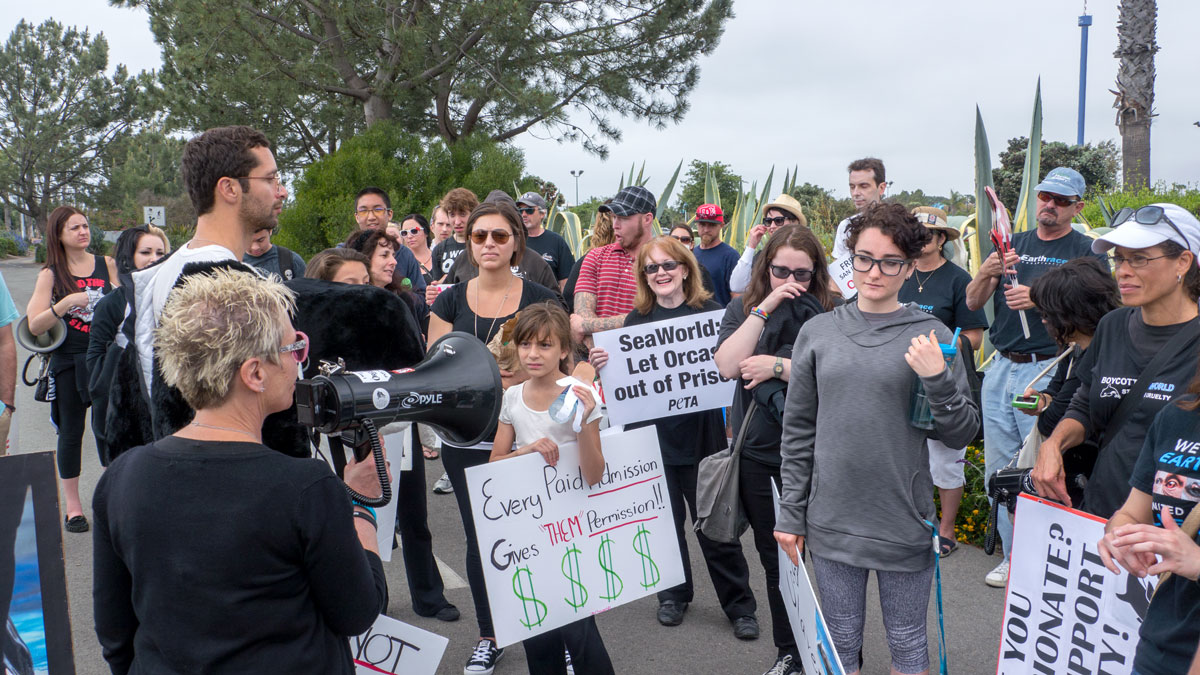 Eye Paint Art: Anti-SeaWorld Protests Gain Momentum
