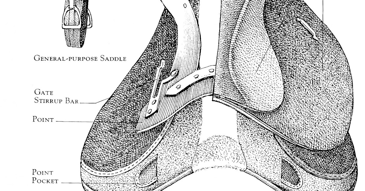 Progress is fine, but it's gone on for too long.: Know your saddle parts