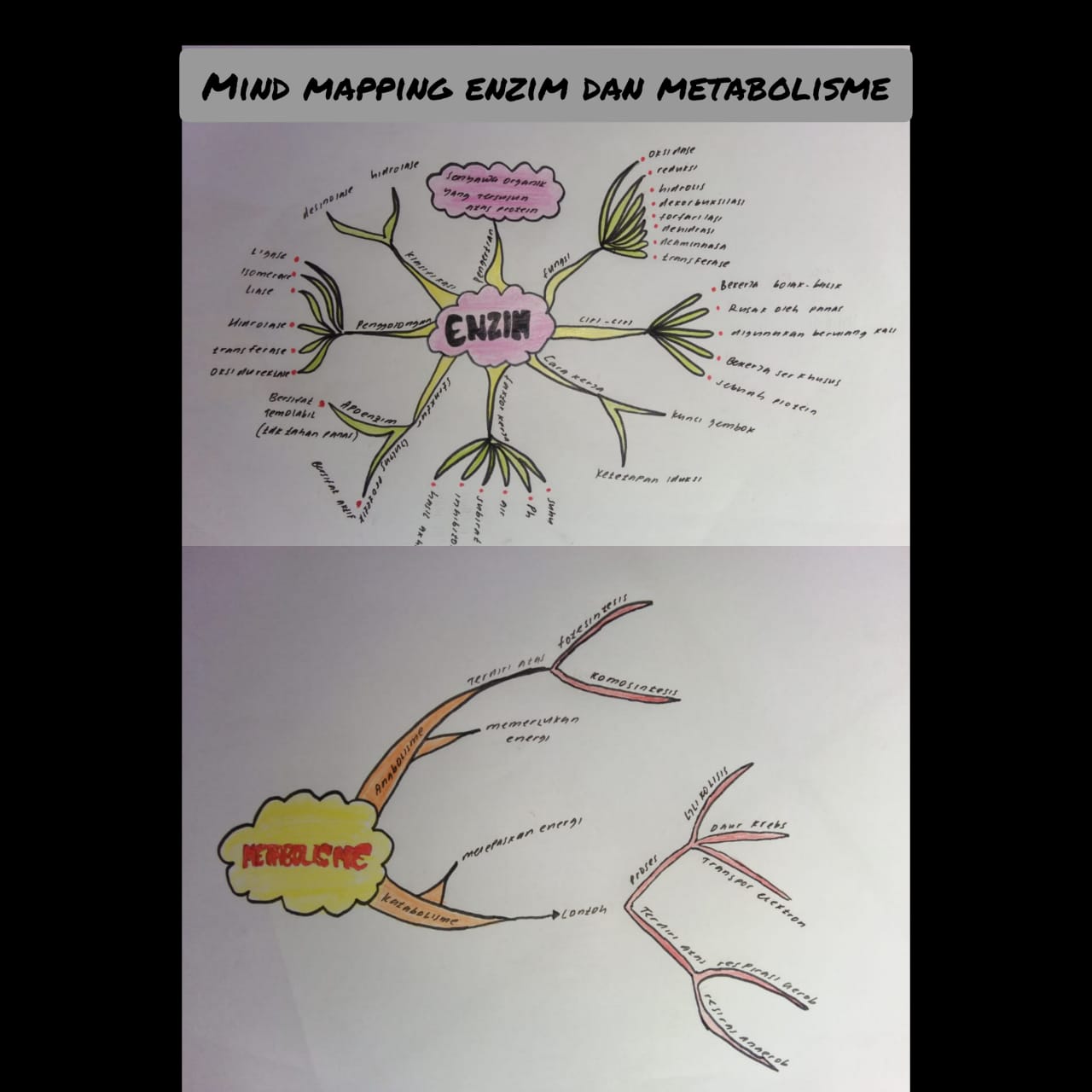 Tugas Mind Mapping Materi Enzim dan Metabolime Kelas XII MIA 1 - Kelas Biologi | Irfan Dani, S ...