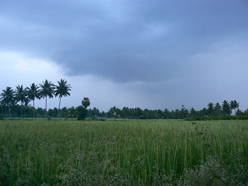 Tamilnadu Tourism: Poolampatty, Edappadi, Salem