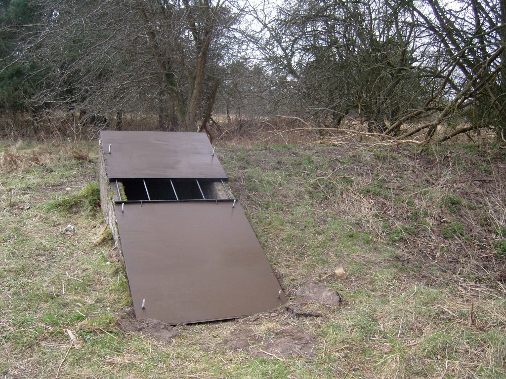 Norfolk Wildlife Trust: Bat Bunker