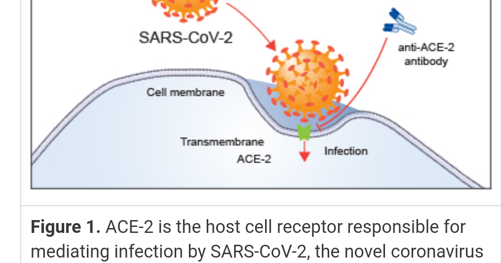 Saptak's Diary: Virus,Lies and a Genomic Bomb - Fact or Fiction You ...