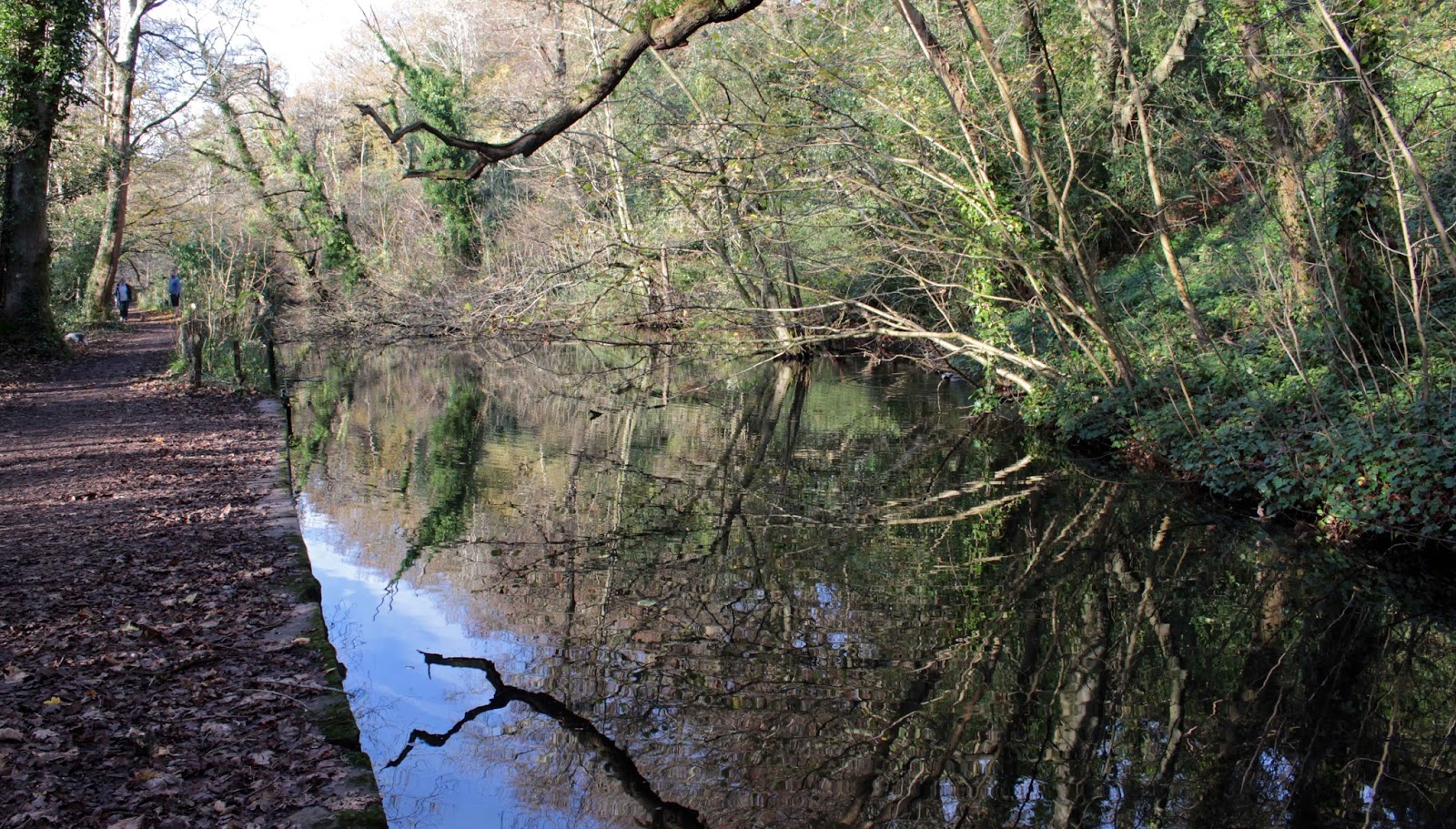 sconzani: Cardiff walks: Forest Farm Nature Reserve