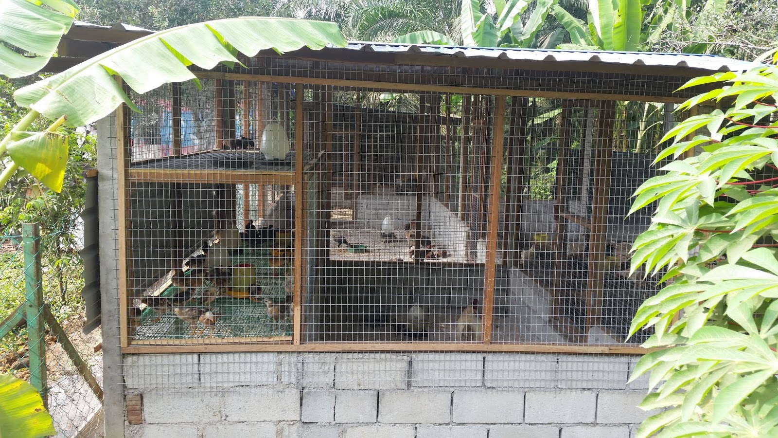 Warisan Petani: DIY : Reban Baru