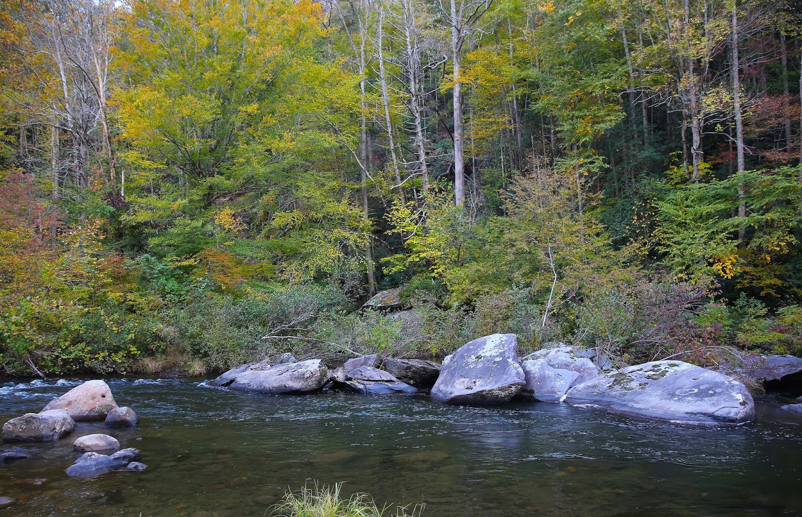 Sweet Southern Days: Parson Branch Road In The Great Smoky Mountains ...
