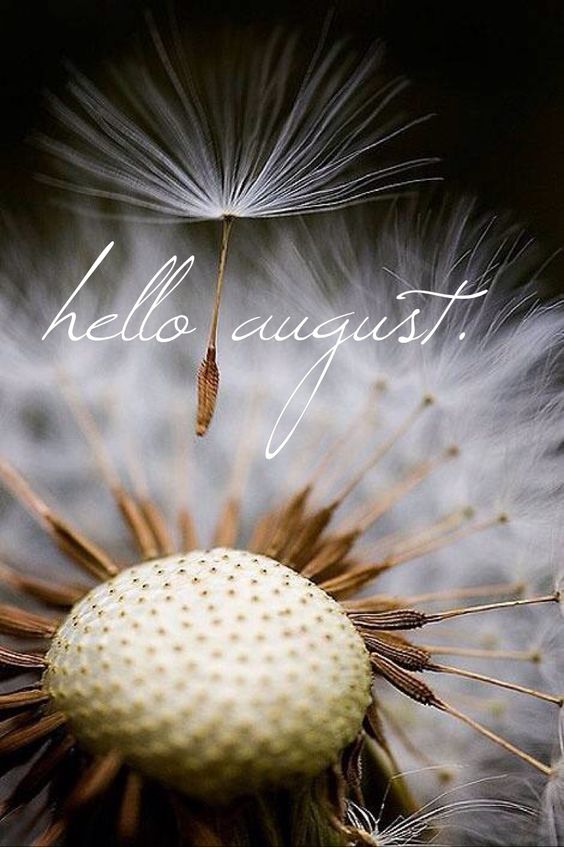 christine blogja: Helló augusztus!