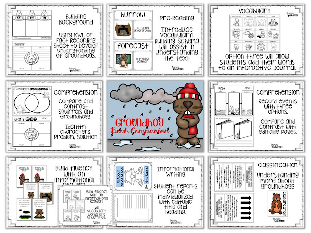 Primary Graffiti: I Don't Want To Be A Frog {Opinion Book Companion}