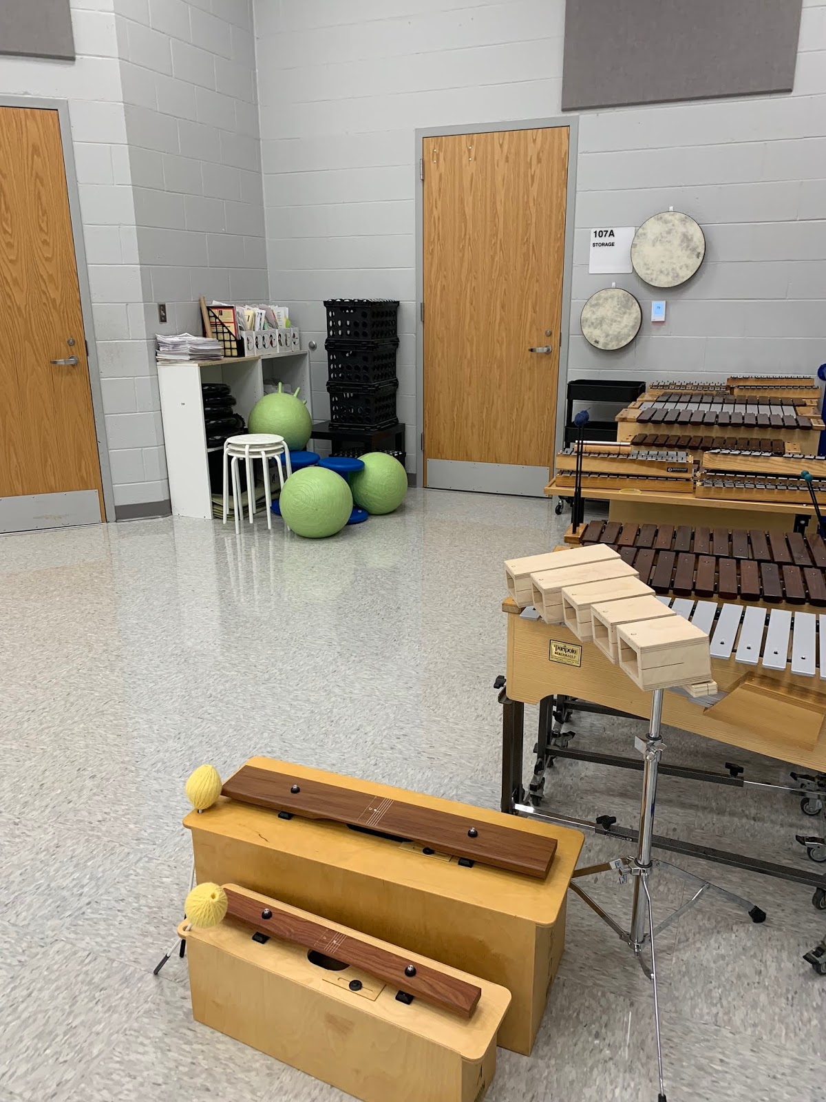 Classroom Reveal, Camping Theme - Aileen's Music Room