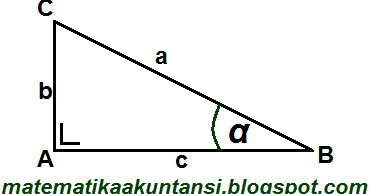 Rumus Aturan Sinus | Pelajaran Matematika