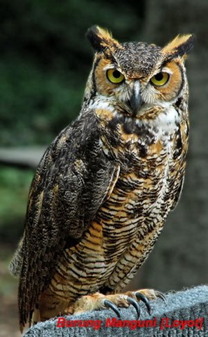 ETNIK MINAHASA: SIMBOL SIMBOL DASAR KEBUDAYAAN MINAHASA [1]