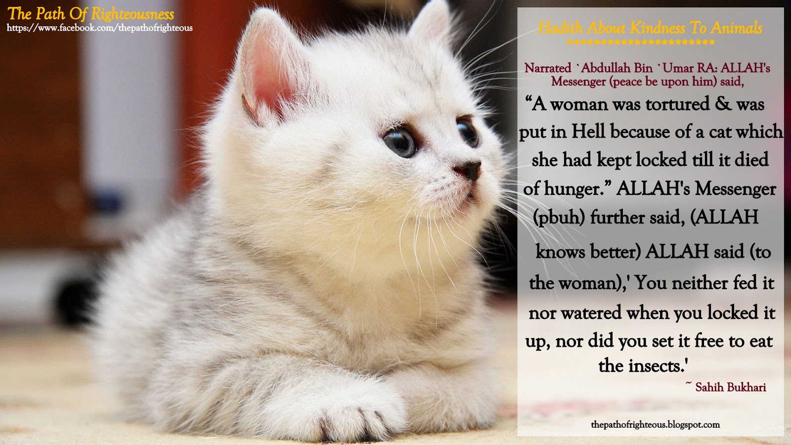 Prophet Muhammad Animal Quotes