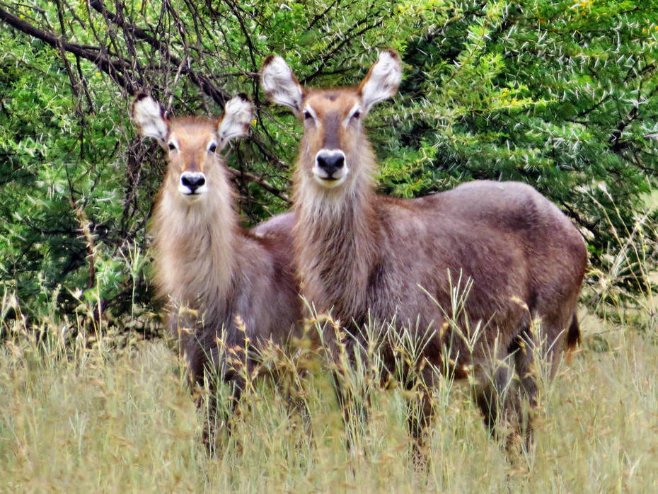 Urban Ministry Live And Unplugged: January 2019