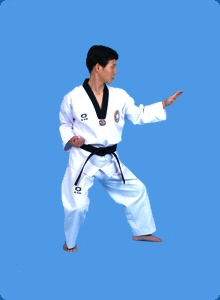 Taekwondo: Some Block in Taekwondo
