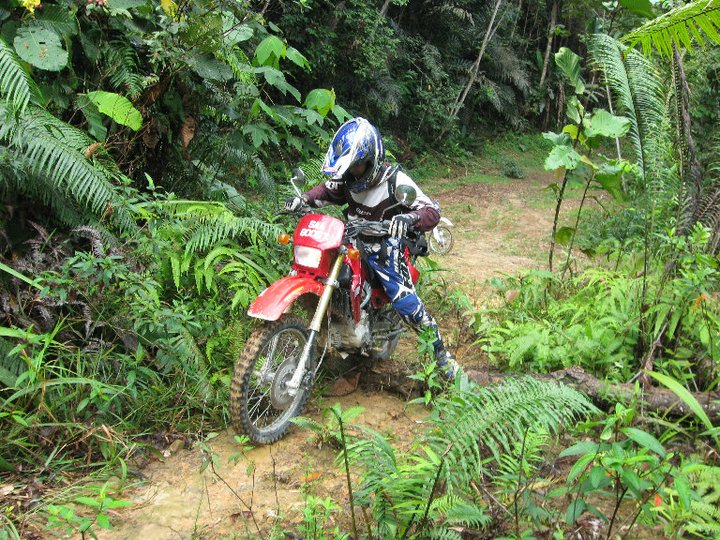 Malayisan mad dirt bikes: Demak DMX, DMXR,DTM 150cc
