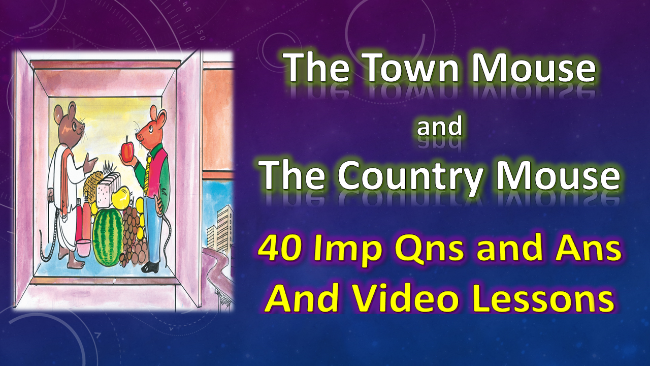 The Town Mouse and the Country Mouse Glossary and Important ...