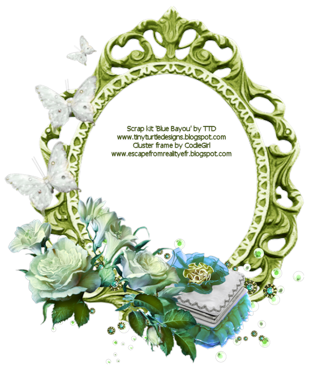 Escape From Reality Blog: FTU Cluster Frames TTD 'Blue Bayou'