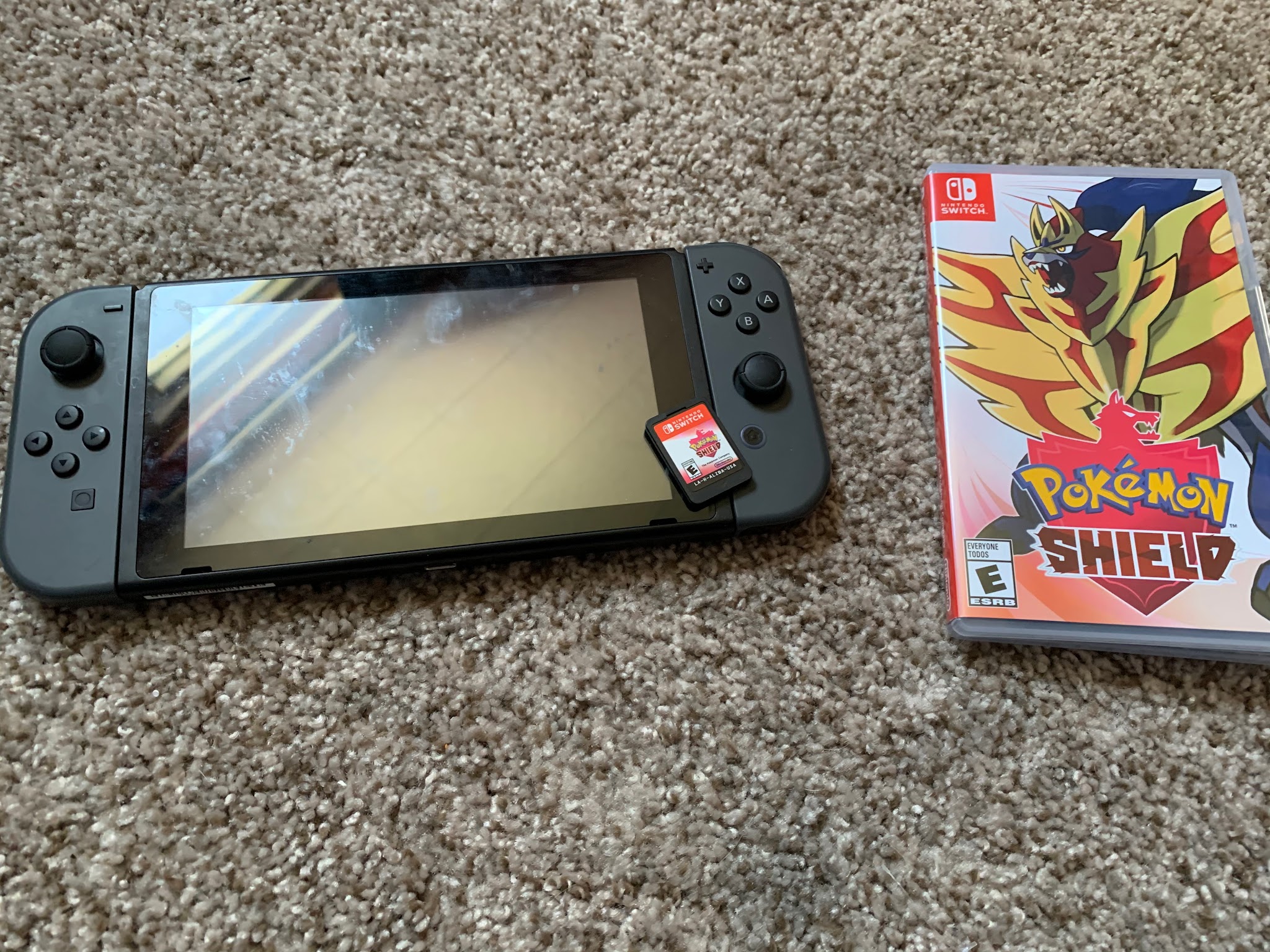 A full review of the Nintendo Switch Pokémon Shield Game - The Western ...