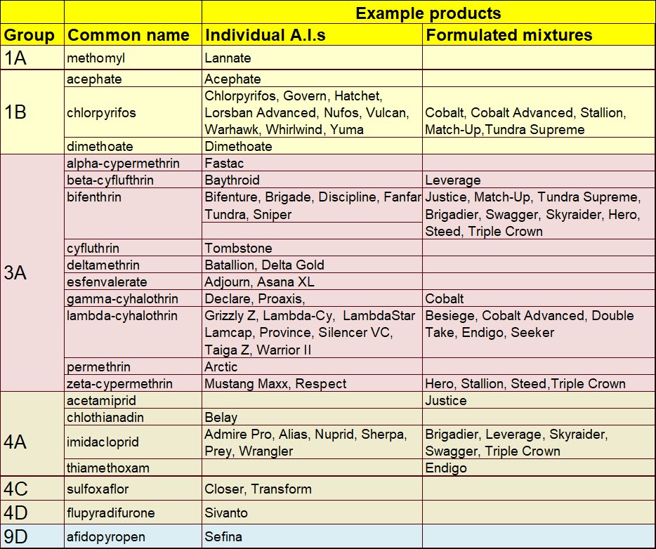 Insecticides available for use against soybean aphid - Morning Ag Clips