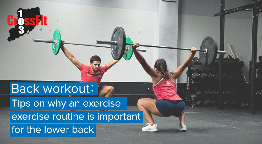 Back Workout : Tips On Why An Exercise Routine Is Important For The ...