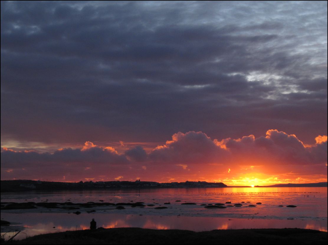 Islay Natural History Trust: 2012