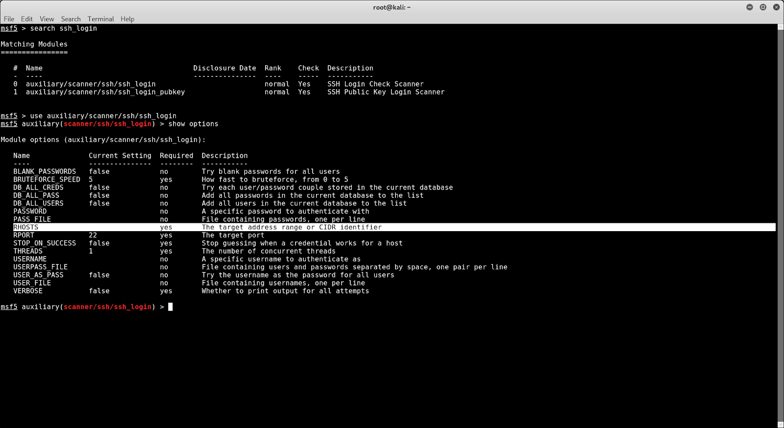 Brute-Forcing Remote Services With Metasploit Module and Hydra