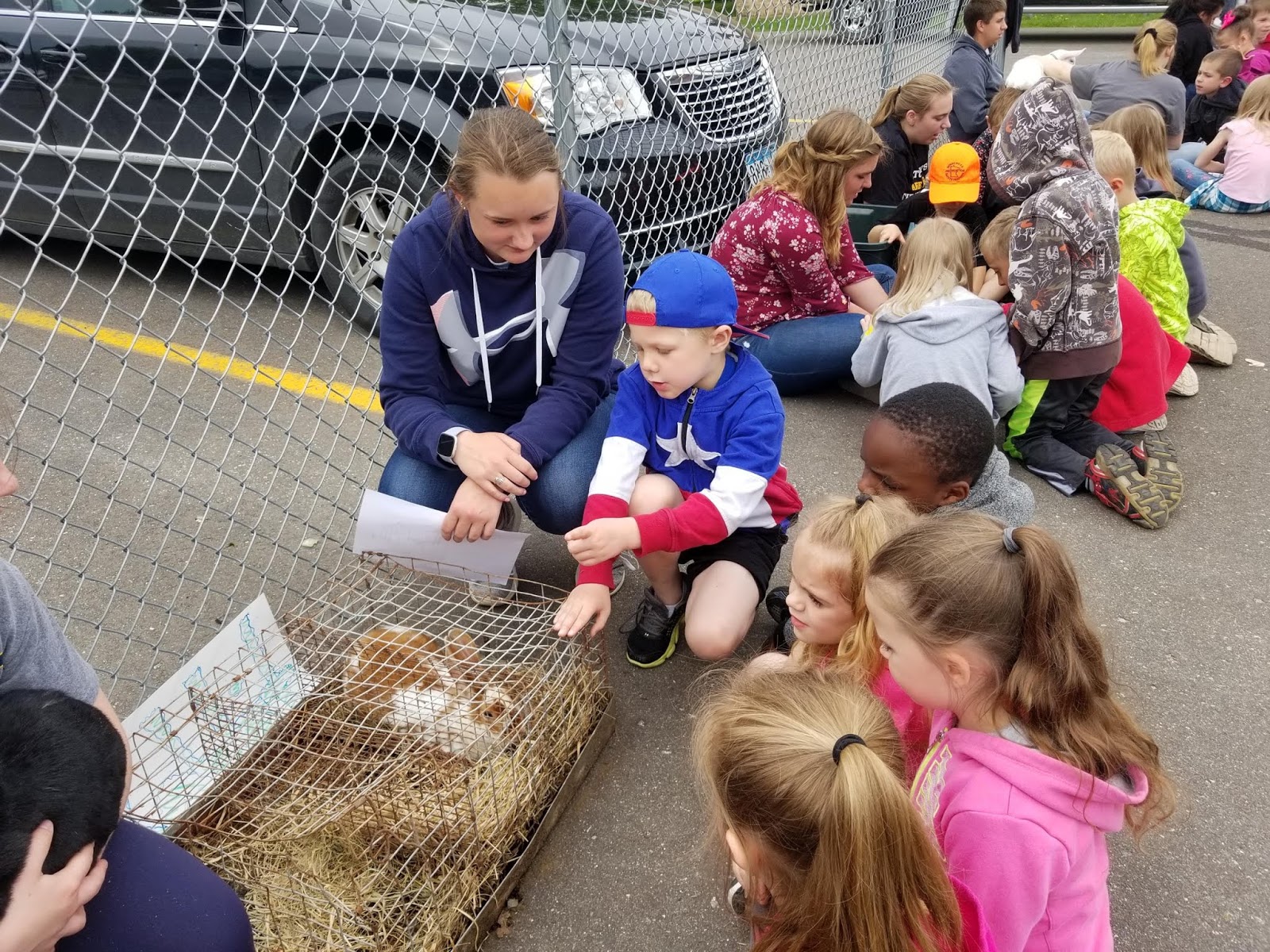 Life as a Kindergarten Student: FFA - Farm Animals Visit