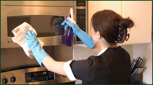 Domestic Worker : Tips for Household Chores