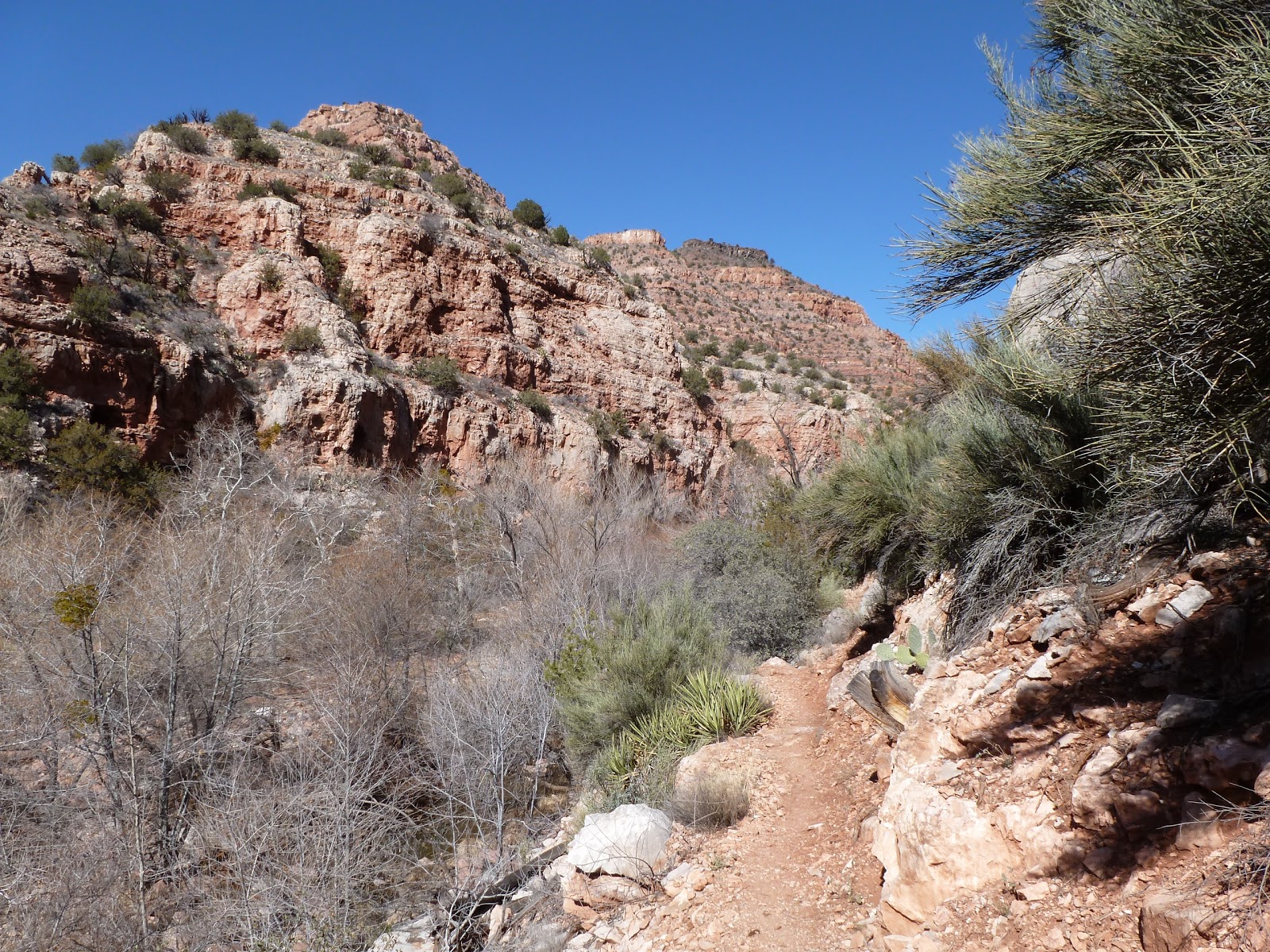 The Continuing Adventures of Eric, Noelle and Sierra: Coconino National ...