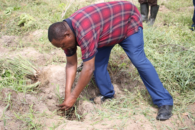 MKIKITA WAHAMIA SHAMBANI VIKINDU KUPANDA MCHAICHAI ~ Father Kidevu