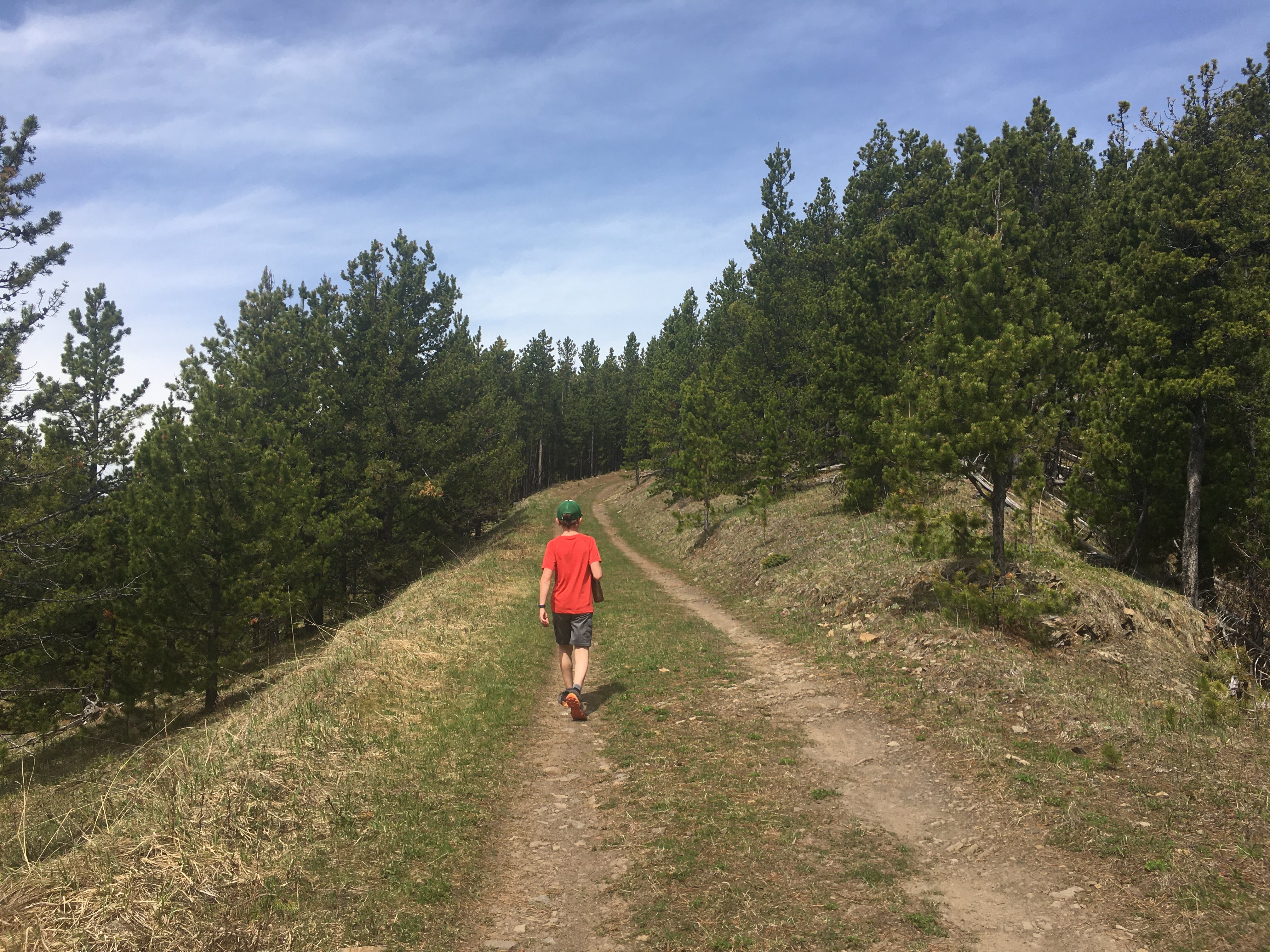 Family Adventures in the Canadian Rockies: Mockingbird Lookout - Family ...