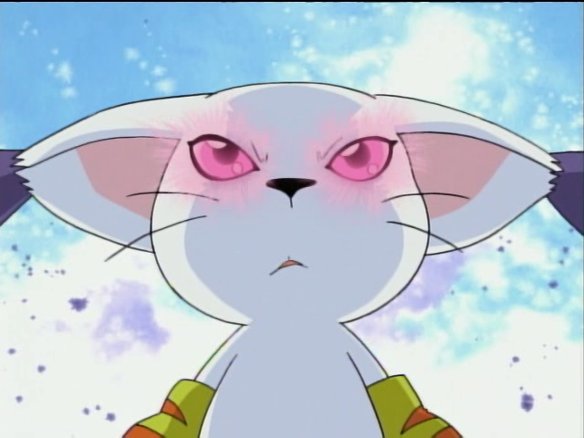 Digi-Arquivo: Gatomon (Tailmon) ~ PMD || Acervo de Imagens de Digimon e ...