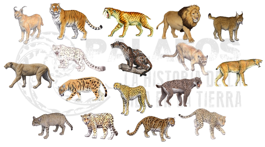 Palaeos, la historia de la Vida en la Tierra: junio 2014