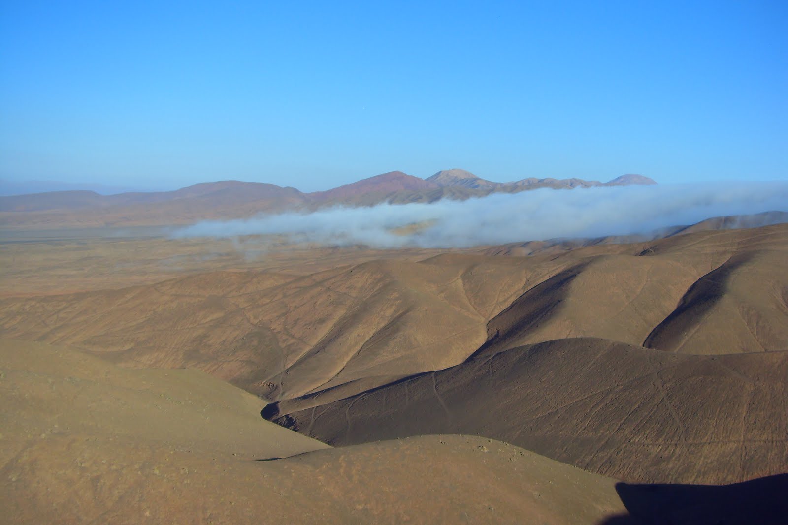 Eco-antropología: El oasis de niebla de Alto Patache: esplendor ...