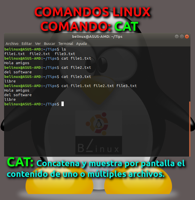 Ubuntu Linux: Recopilación Tips gráficos de comandos de Linux