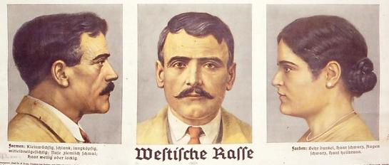 How common is Mediterranid race in Czech Republic?