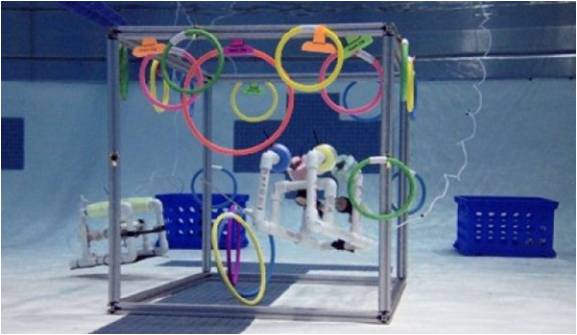 KD SeaPerch ROV (Arm Design): Background Information