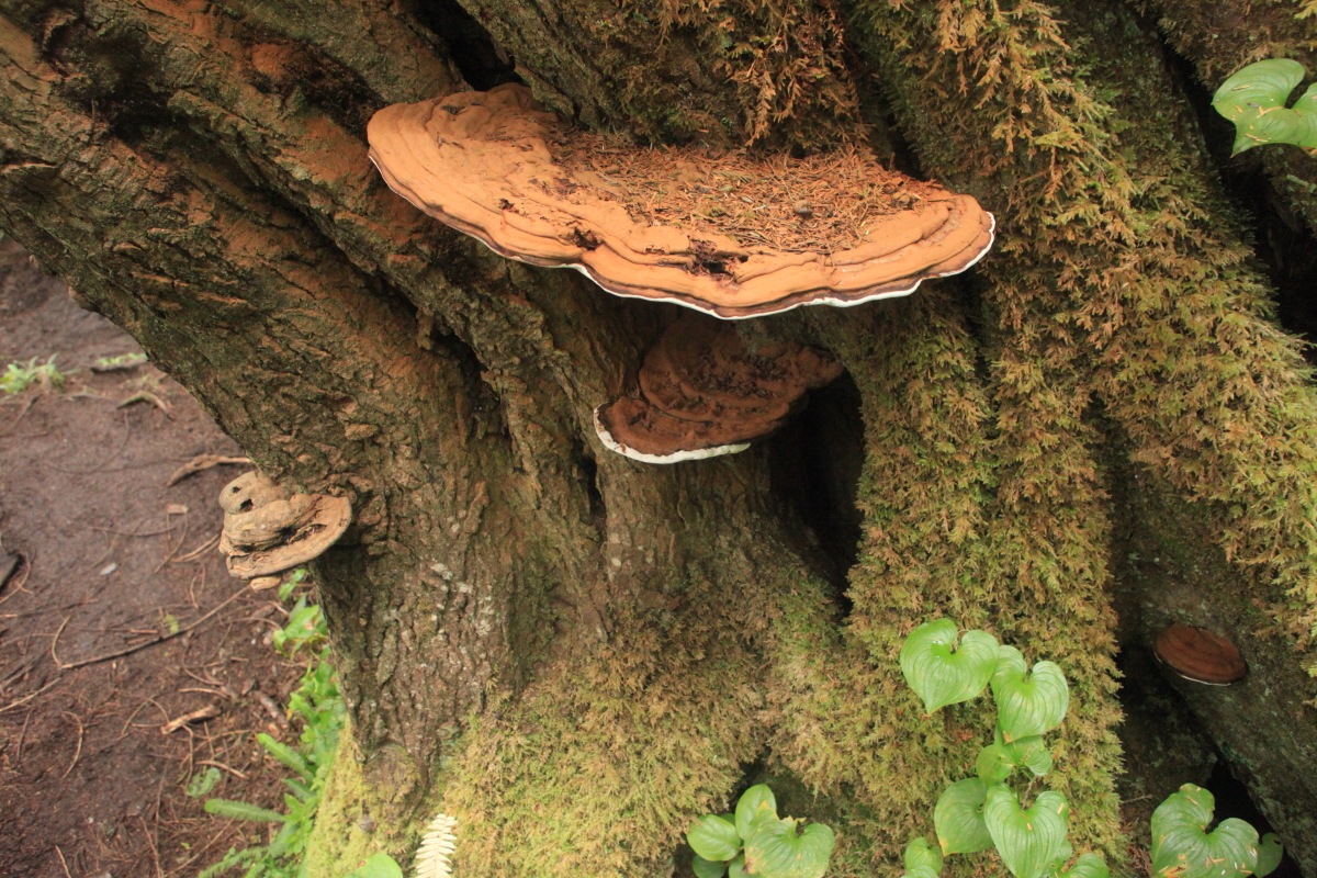 Earthly Musings - My Travel and Geology Blog: August 2013