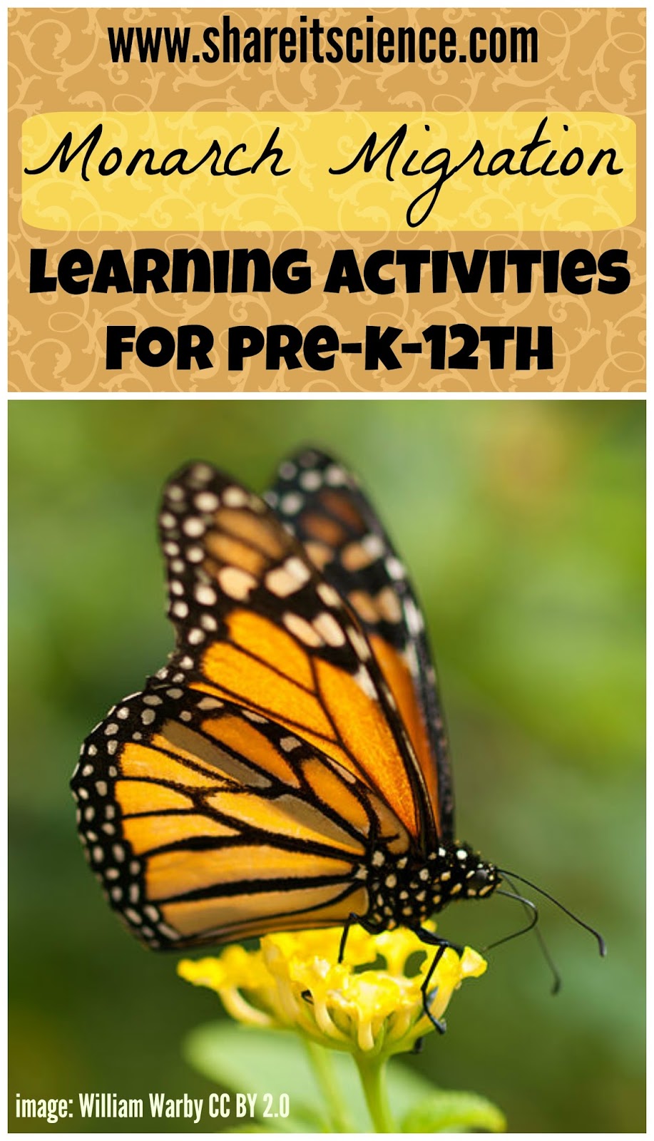 Monarch Butterfly Migration Map